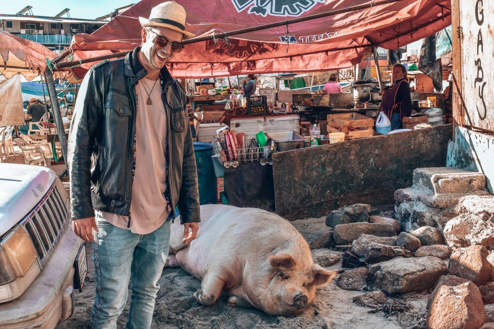 Why you Need to Visit the Popotla Fish Market • BeyondtheBucketlist.co