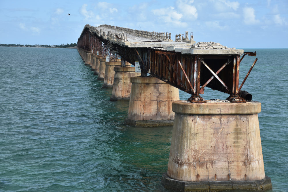 Florida Scenic Drives: Stunning Road Trips in the Sunshine State