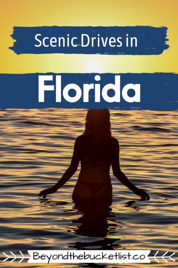 Florida Scenic Drives: Stunning Road Trips in the Sunshine State