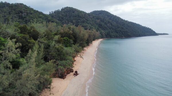 3 Underrated Thai Islands: Complete Guide to Koh Libong, Koh Mook ...