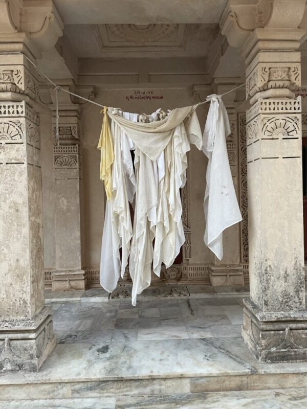 Your Palitana Guide for an Impressive Jain Pilgrimage