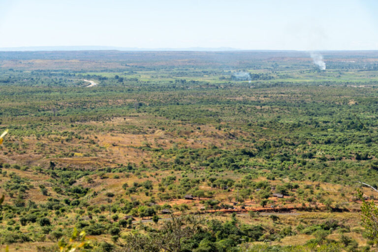 Madagascar Road Trip: Ultimate 3-Week Itinerary for Wildlife (Self-Drive)